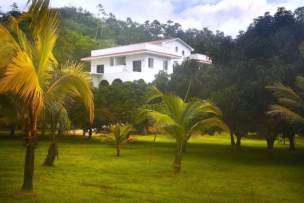 mango orchard - Real Estate In Tropical Belize